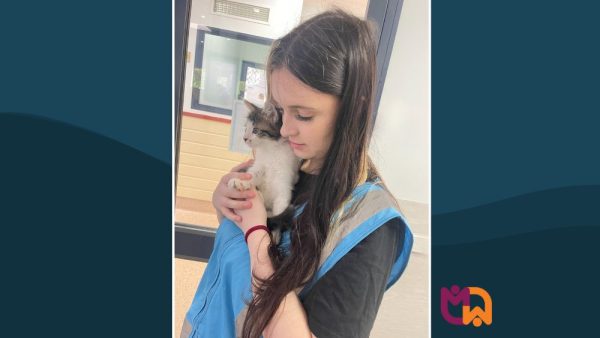 Zoe's Heartwarming Journey at the RSPCA Hunter Shelter - The Mai-Wel Group